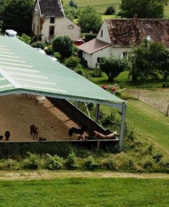 Bâtiment acier galvanisé, idéal activités équestres - 20,6x48x5m ...