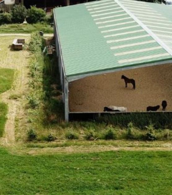 Bâtiment acier galvanisé, idéal activités équestres - 20,6x48x5m ...