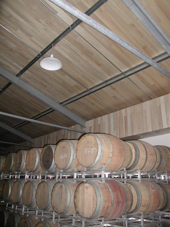 Caisson isolant chevronné à sous-face décorative pour toiture ...