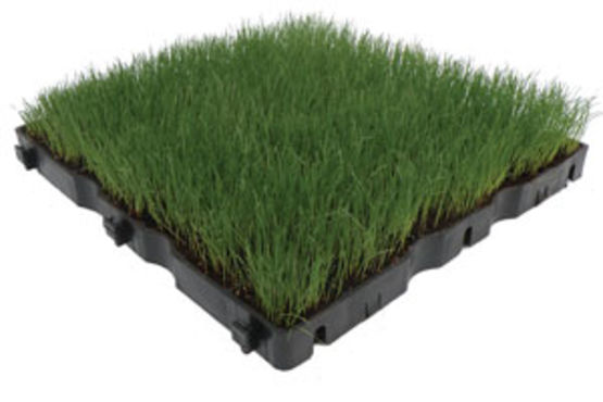 Dalles carrossables pour gazon | Nidagrass - NIDAPLAST