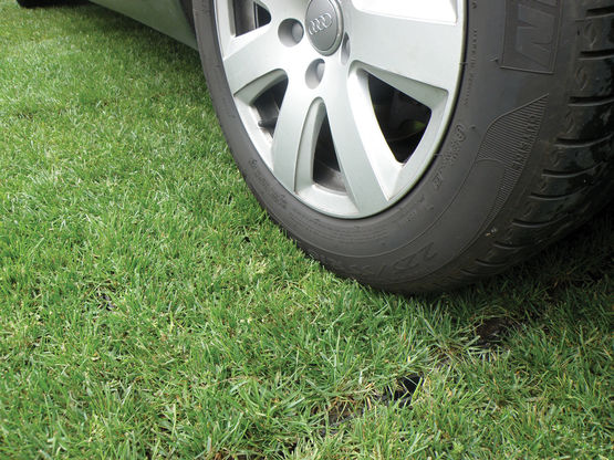 Dalles carrossables pour gazon | Nidagrass - NIDAPLAST